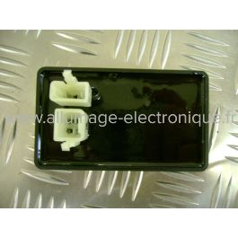 CD20201 - CDI Dazon: Raider 250cc (moteur LIFAN) Eagle Group: 200cc ...