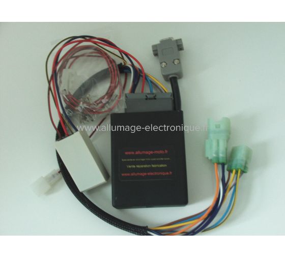 CDI Rotax 912 - 914 / ECU (Engine Control Unit)